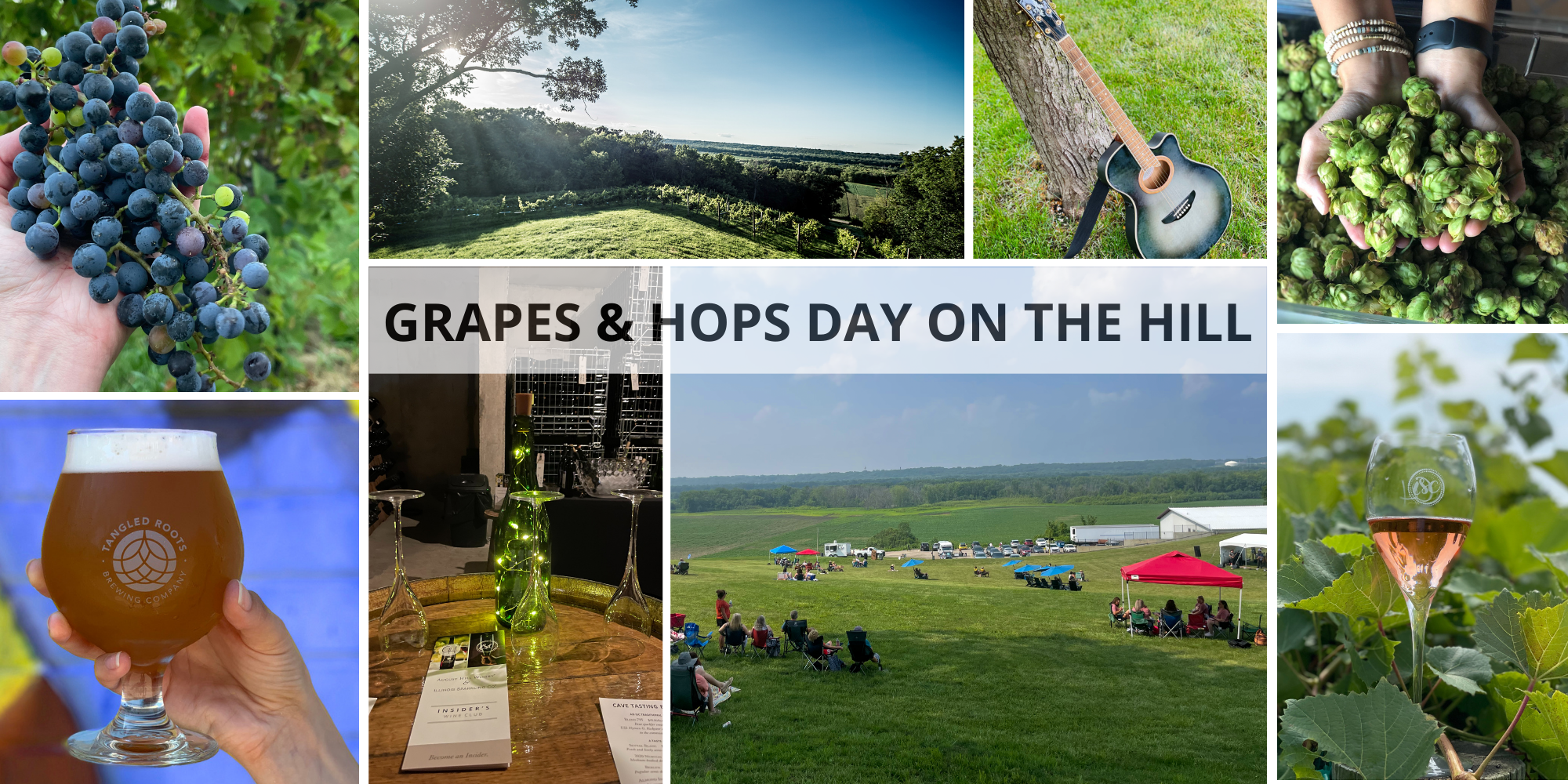 Home - August Hill Winery