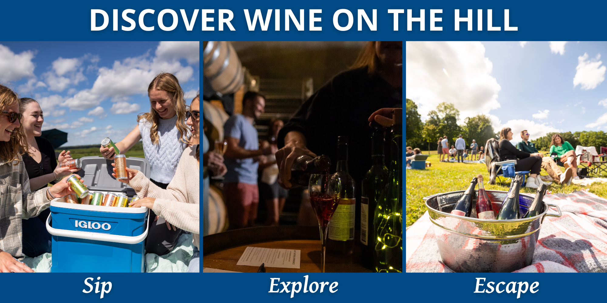 Home - August Hill Winery